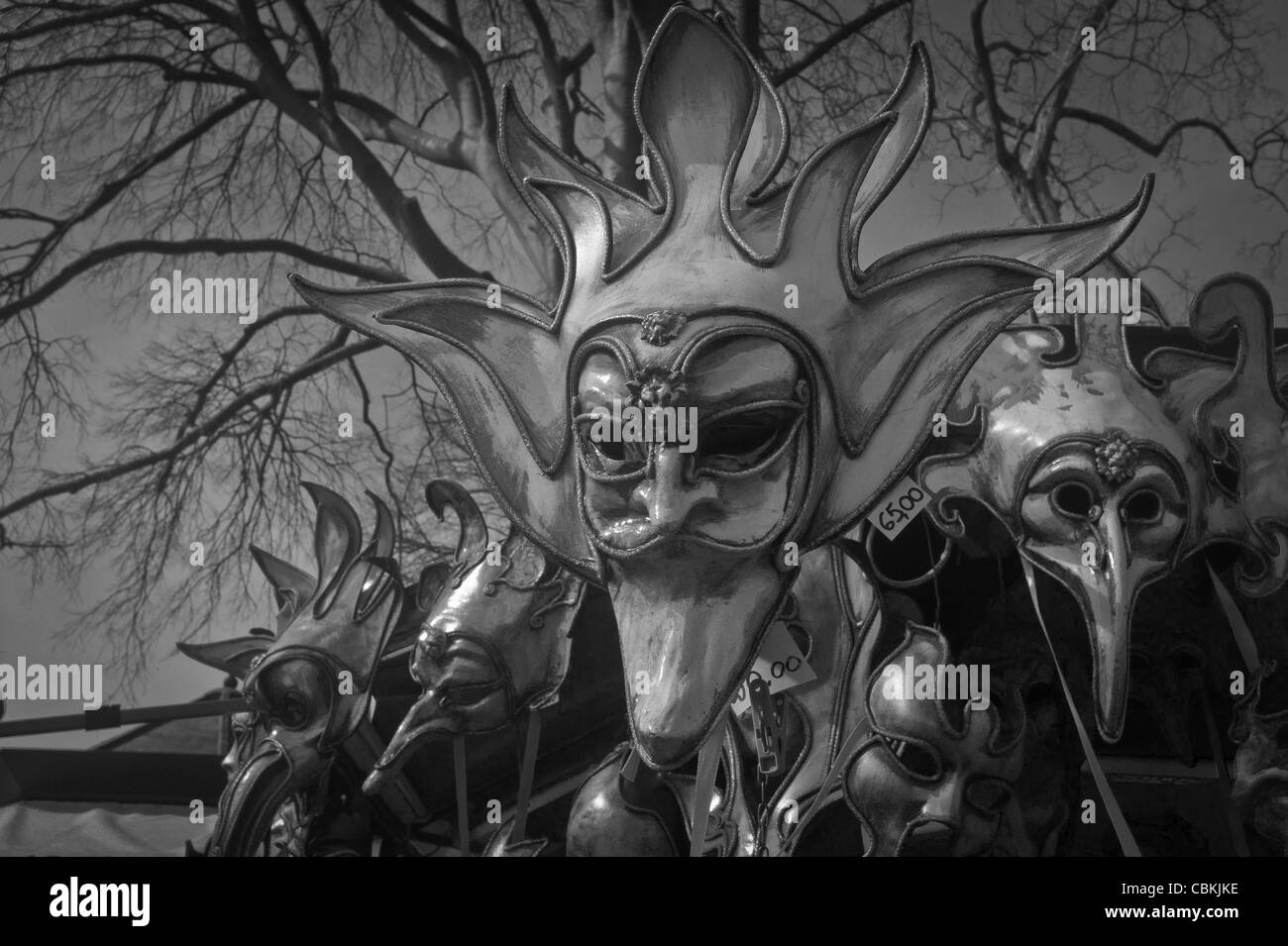 Venice carnival picture in mask hi-res stock photography and images - Alamy