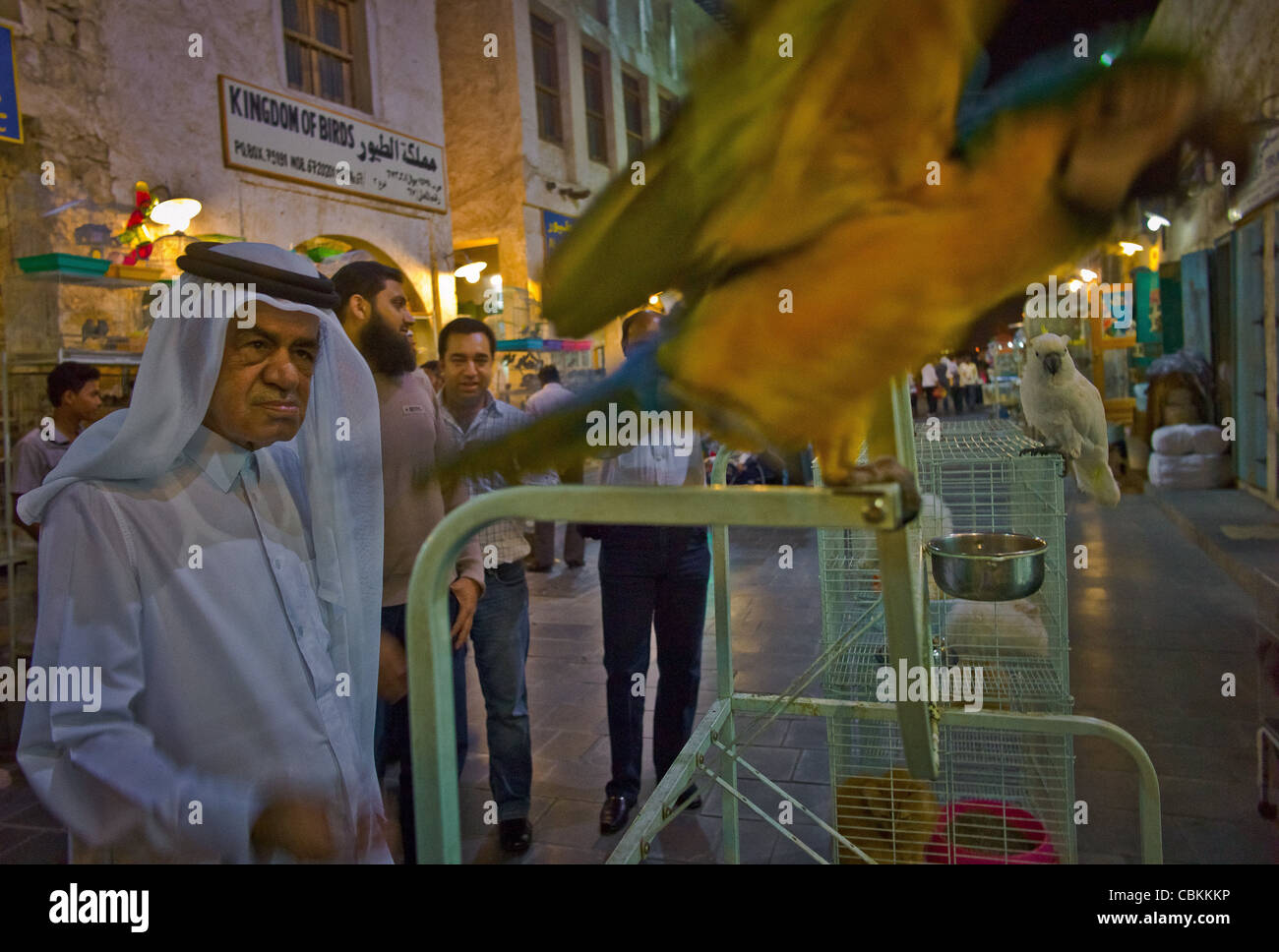 Doha , Qatar, Animal souk in Doha Stock Photo - Alamy