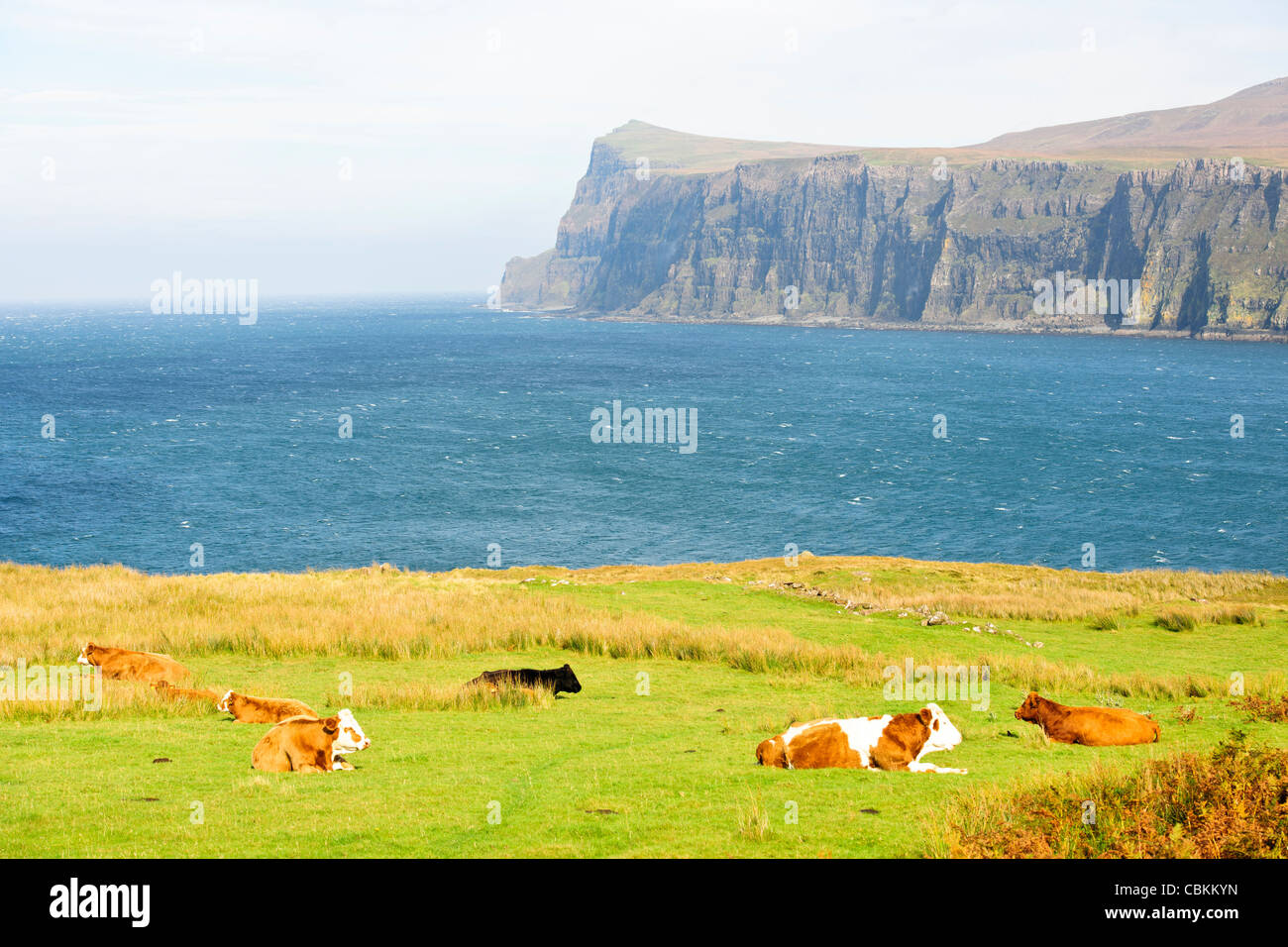 Dunvegan Head,Steep Cliffs,Roaring Waterfalls,Wild Scenery,Milovaig ...
