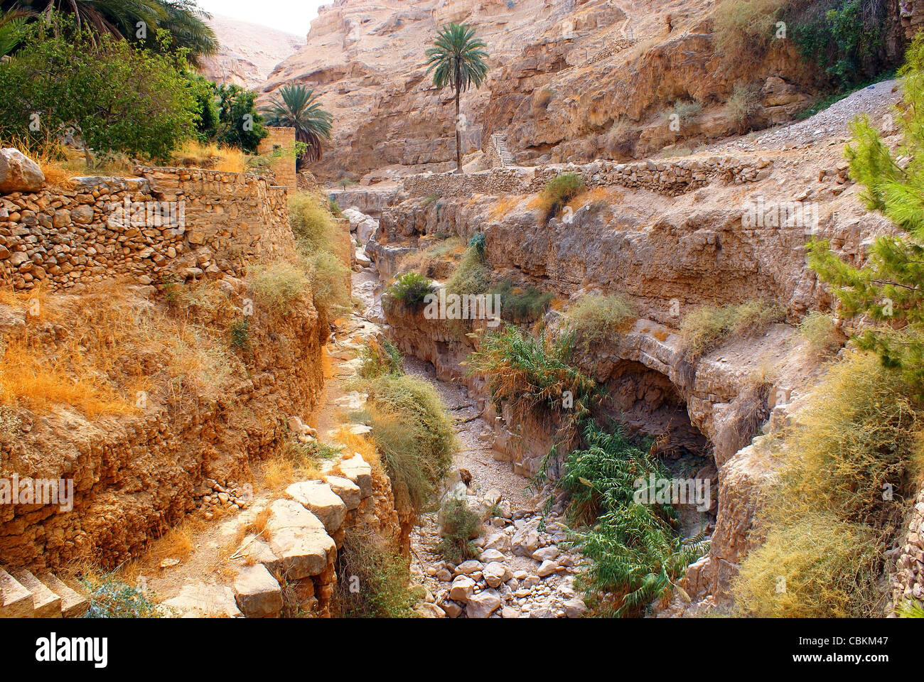 Dead river in Israel desert Stock Photo - Alamy