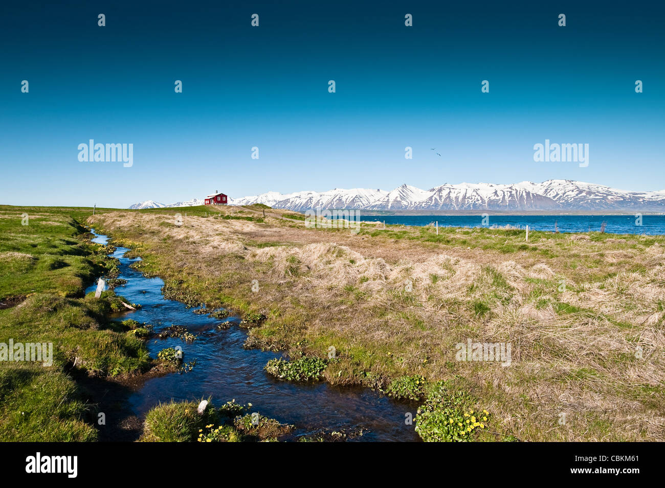 Pla nt hi-res stock photography and images - Alamy