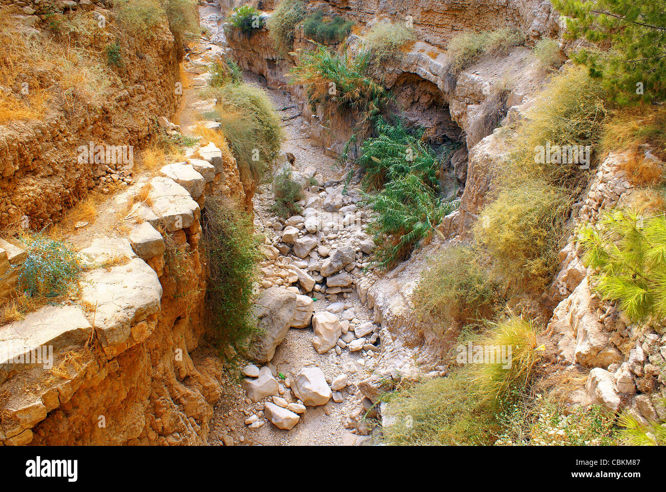 Dead river in Israel desert Stock Photo - Alamy