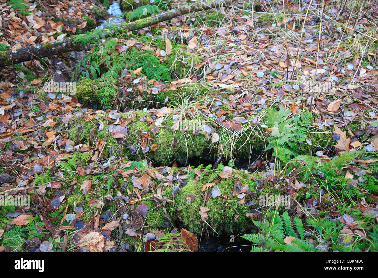 Railroading artifacts hi-res stock photography and images - Alamy