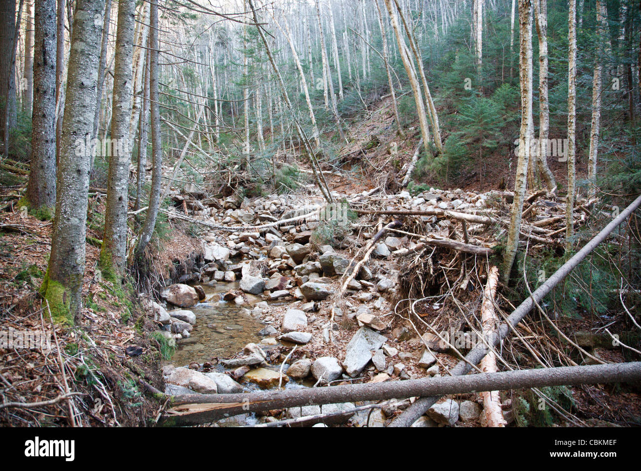 Landslide path on the side of the Hancock Mountain Range in the ...