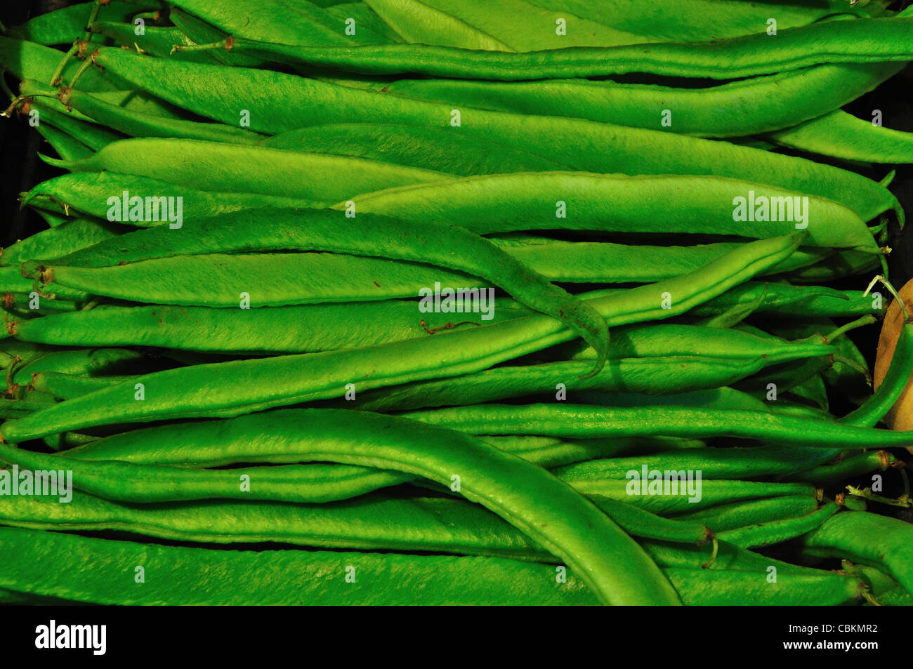 A picture full of runner beans Stock Photo - Alamy