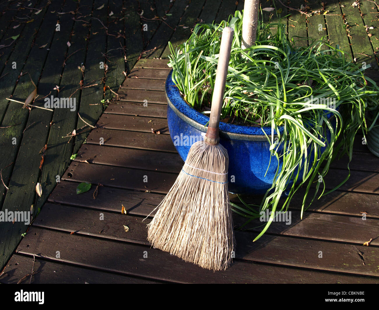 Short brush hi-res stock photography and images - Alamy