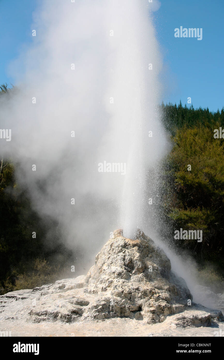 Taupo eruption hi-res stock photography and images - Alamy