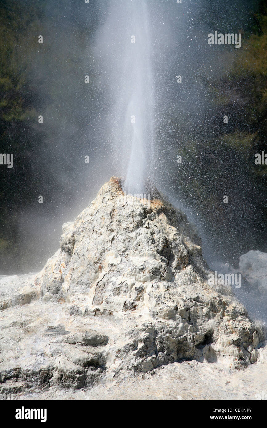 November 2007 - Lady Knox Geyser, Wai-O-Tapu Geothermal area, Taupo ...