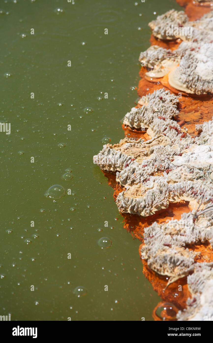 November 2007 - Bubbles rising in Champagne Pool hot spring, Wai-O-Tapu ...