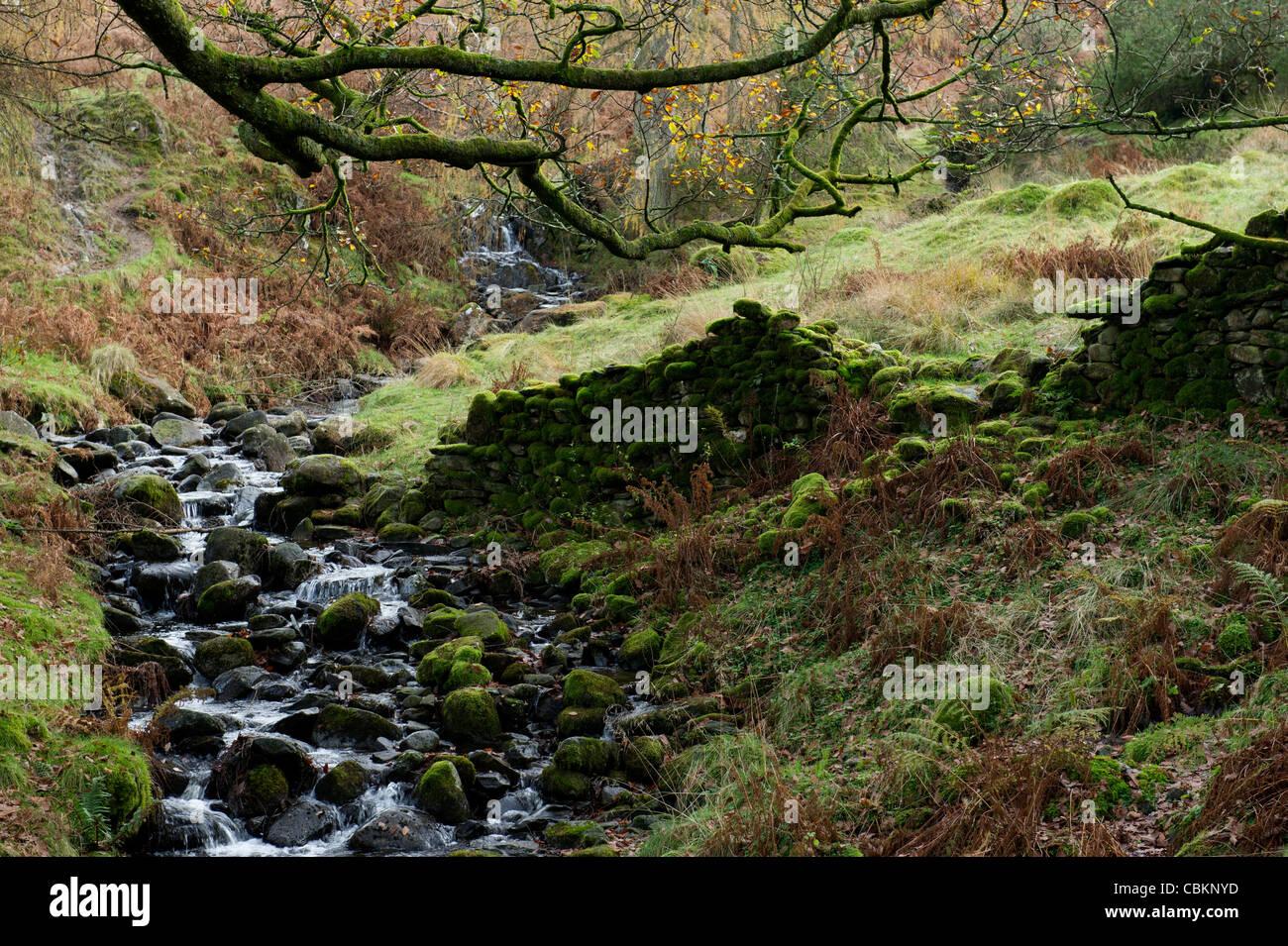 Stream at Rydal Water, Lake District Cumbria, UK Stock Photo - Alamy