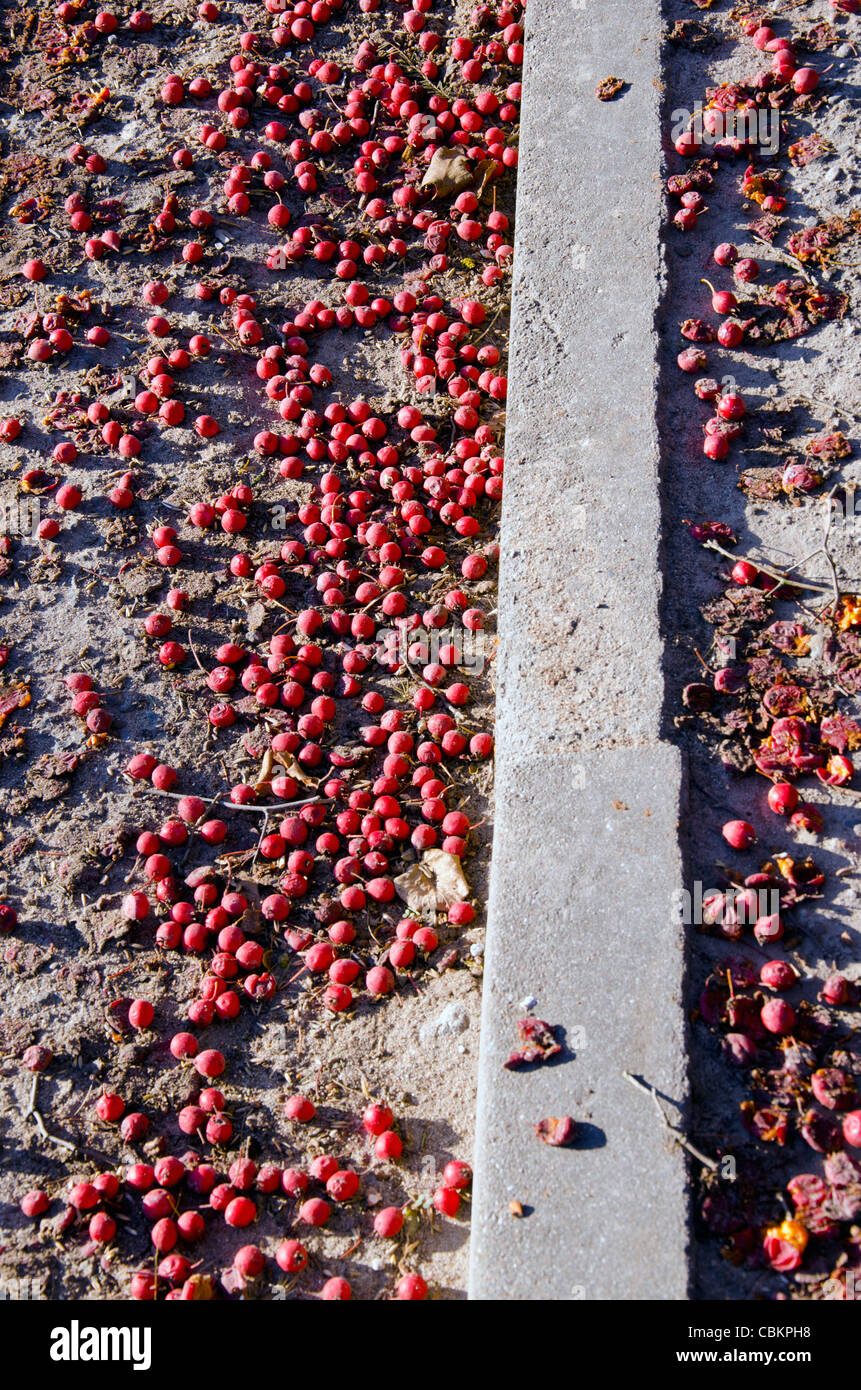 Red earth ground hi-res stock photography and images - Alamy