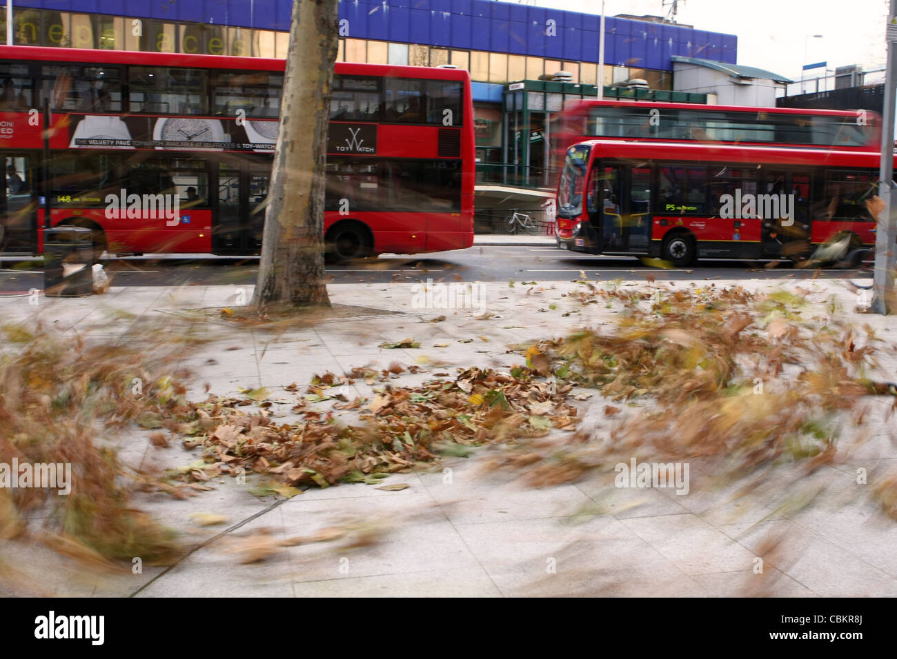 leaves swirling in a gust of wind with red London buses passing in the ...