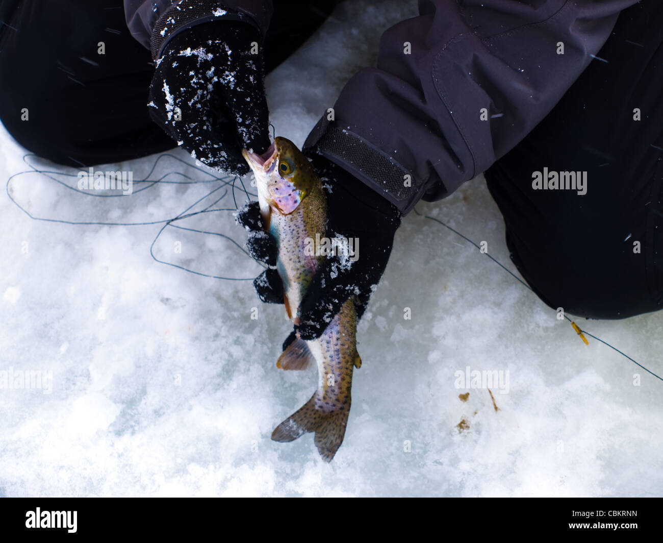 First catch of the day Stock Photo - Alamy