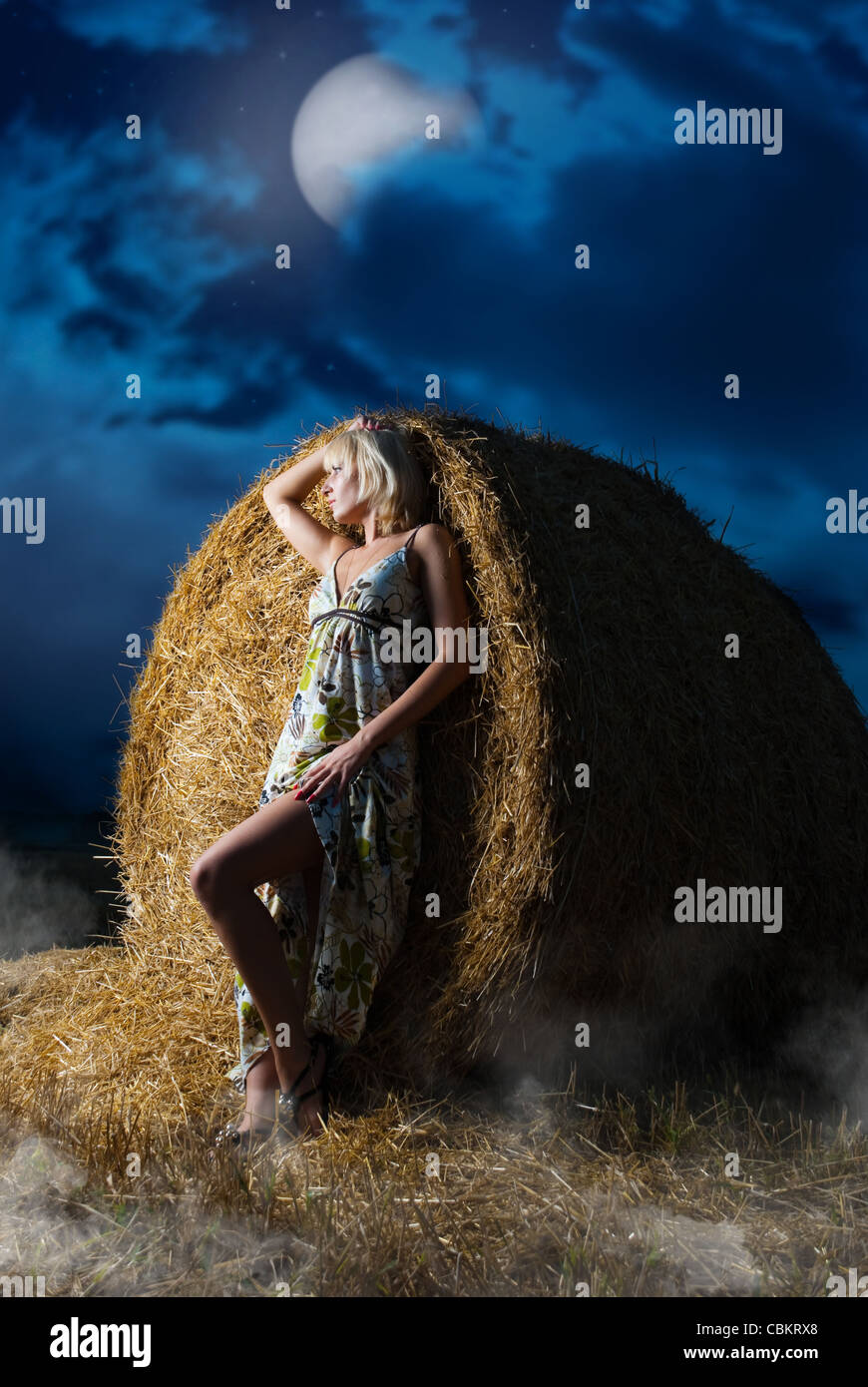 Night field view Stock Photo - Alamy