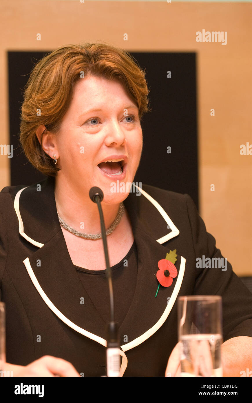 Parliamentary under secretary of state for disabled people hi-res stock ...