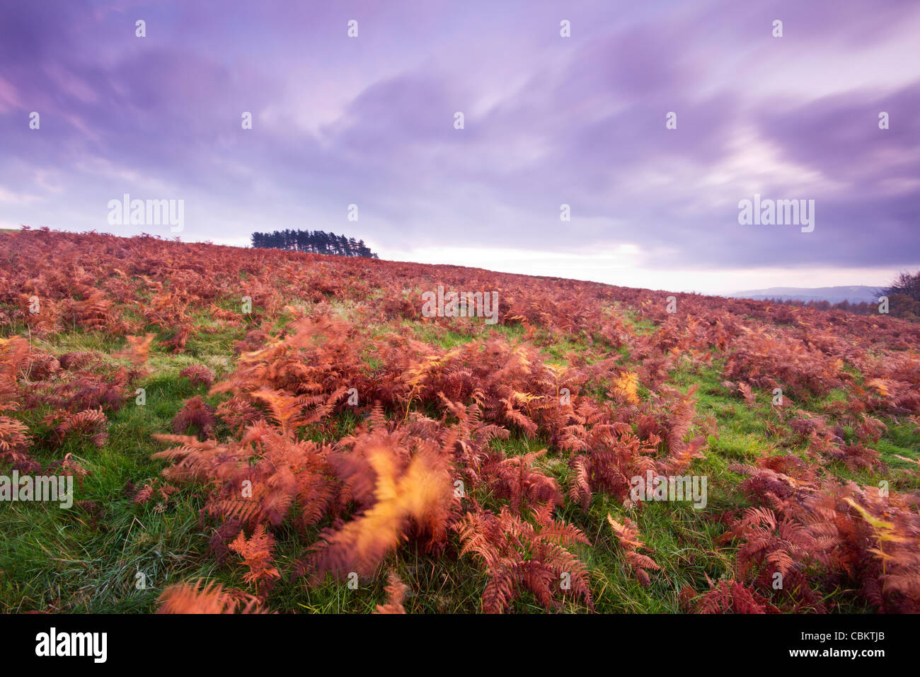 May hill gloucestershire hi-res stock photography and images - Alamy