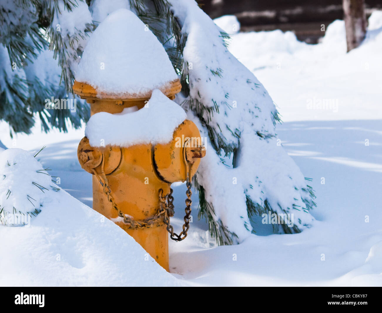Fire hydrant under the snow Stock Photo - Alamy