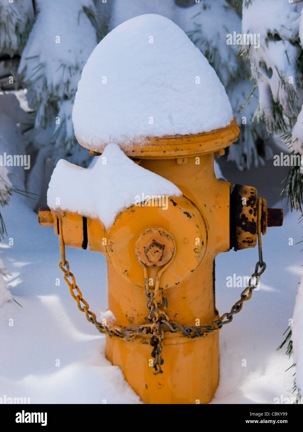 Fire hydrant under the snow Stock Photo - Alamy