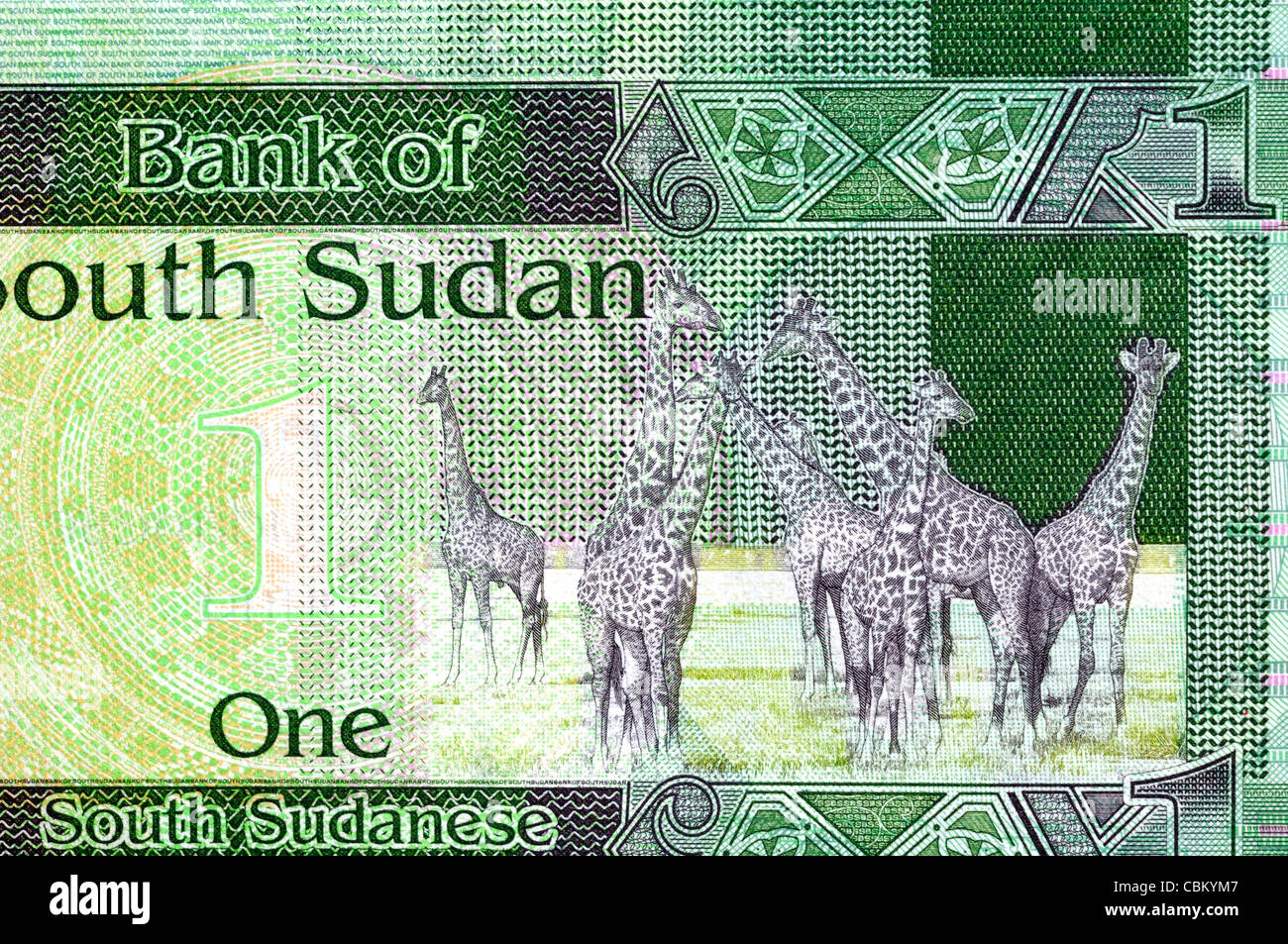 South Sudan 1 One Pound Bank Note Stock Photo - Alamy