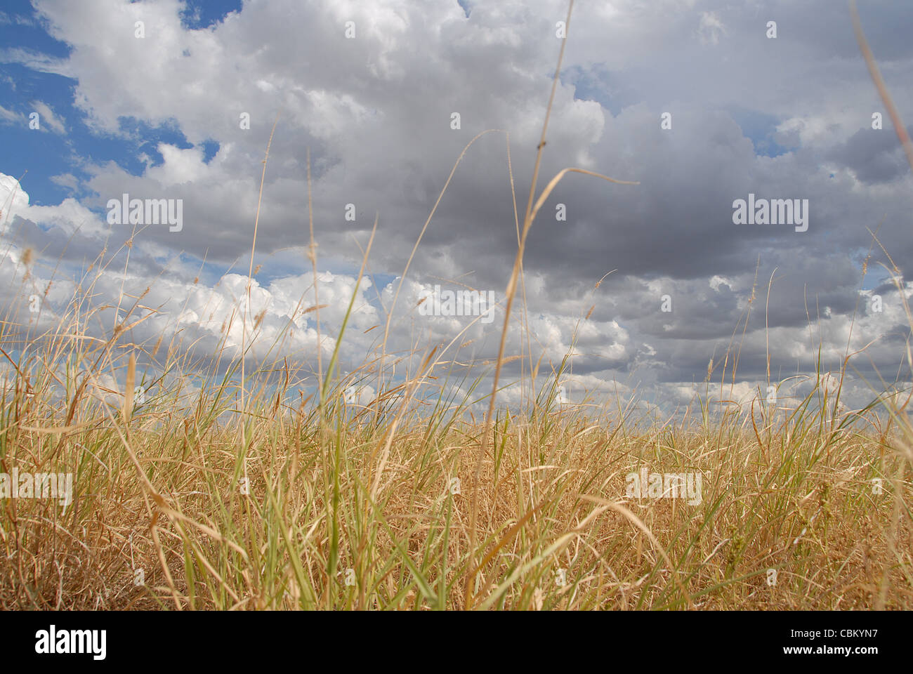 Channel country australia hi-res stock photography and images - Alamy