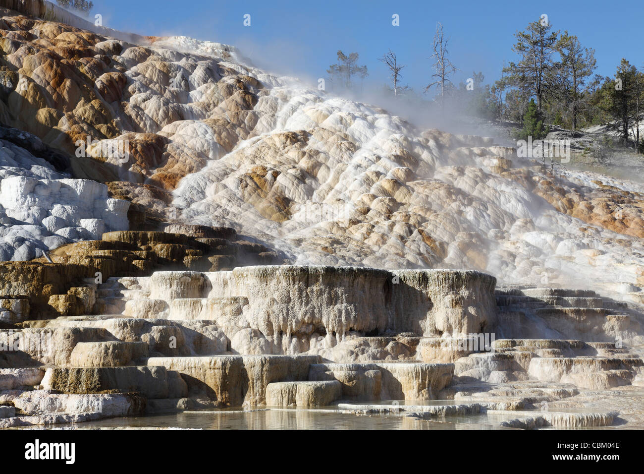 Travertine sedimentary rock hi-res stock photography and images - Alamy