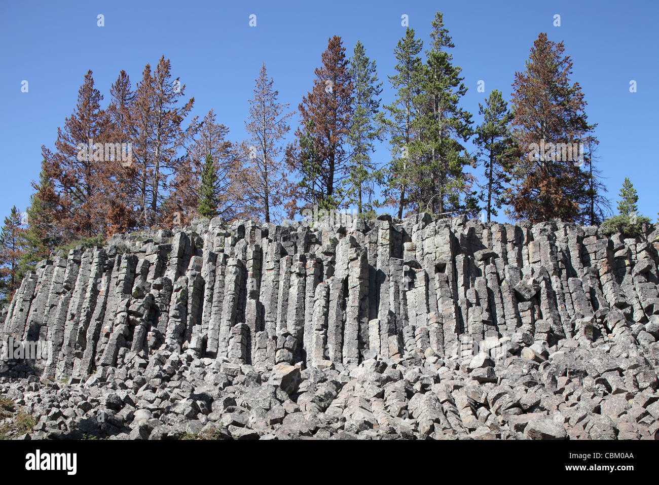 Basalt Columns formed by cooling lava, Sheepeater Cliffs, Yellowstone ...