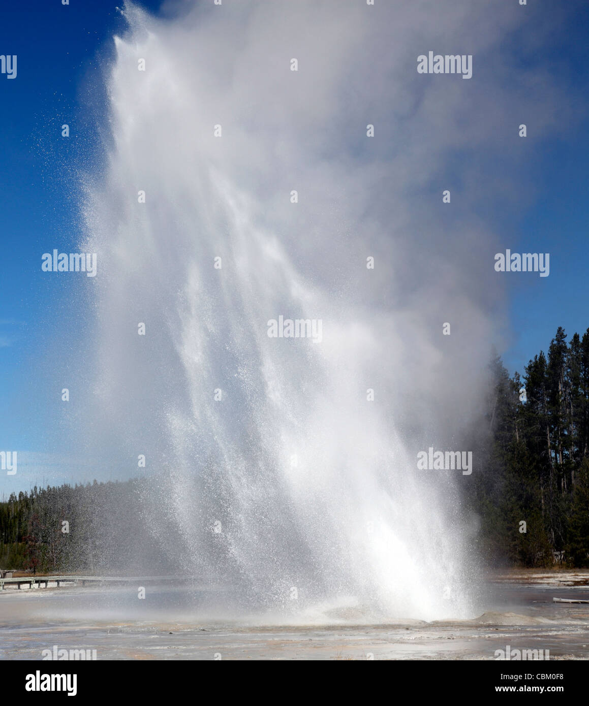 Daisy Geyser erupting, Upper Geyser Basin geothermal area, Yellowstone ...