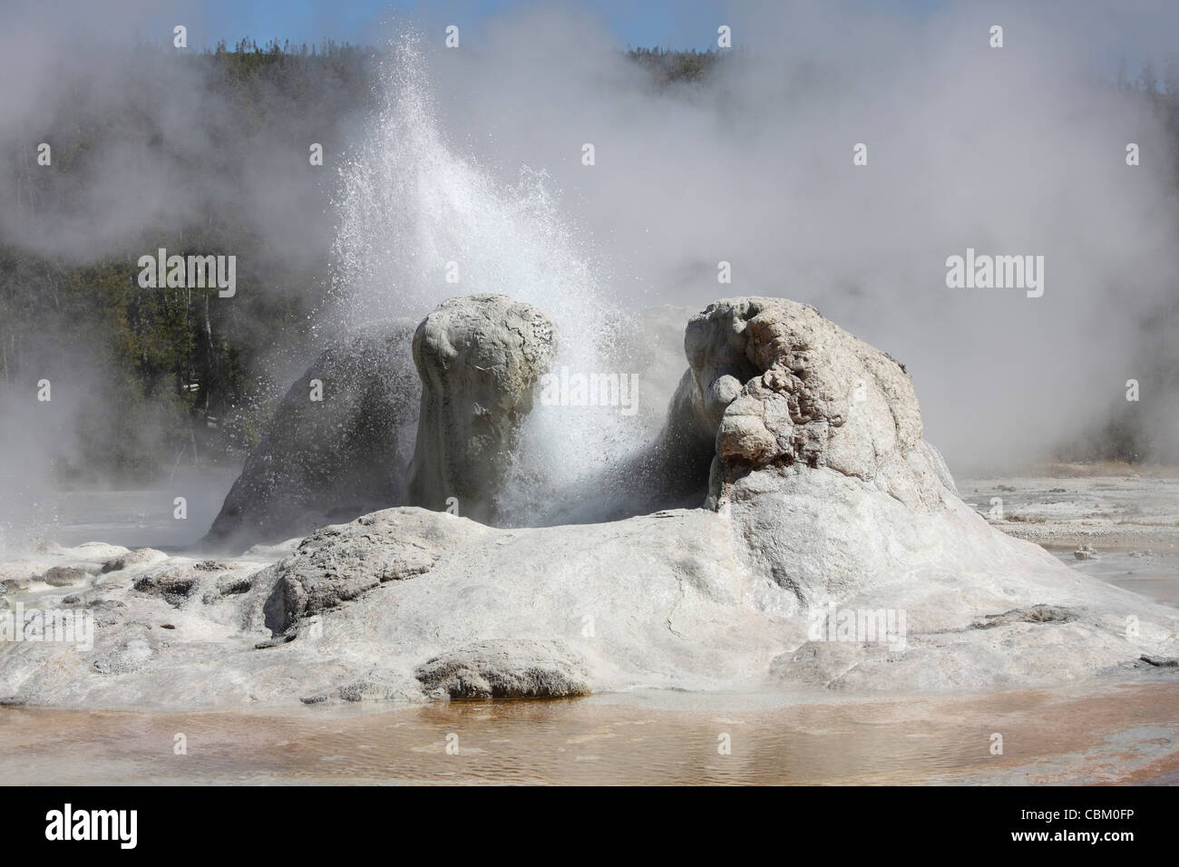 Grotto Geyser eruption, Upper Geyser Basin geothermal area, Yellowstone ...