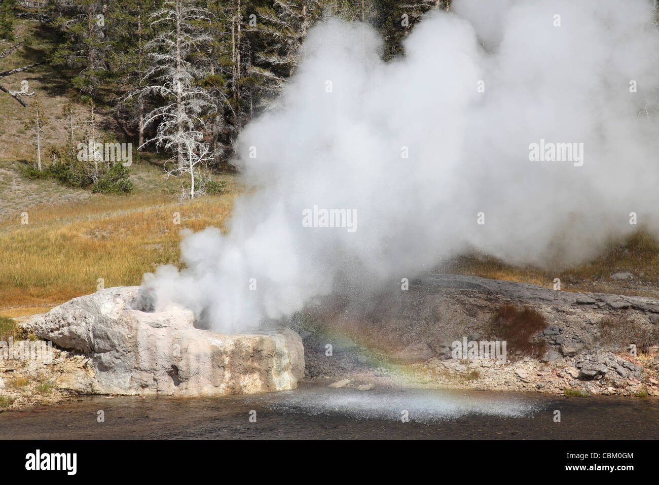 Riverside Geyser eruption with rainbow, Upper Geyser Basin geothermal ...