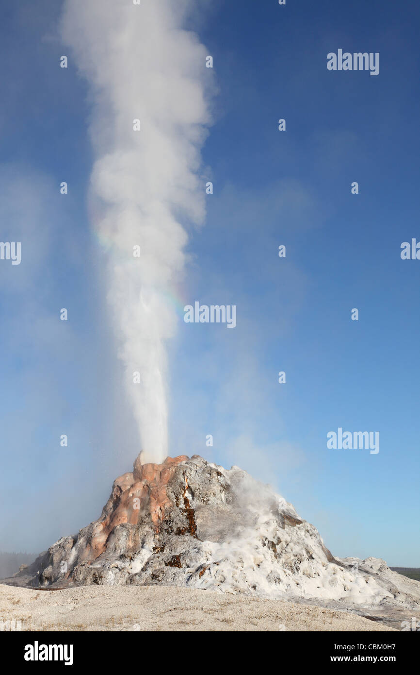 White Dome Geyser erupting, Lower Geyser Basin geothermal area ...