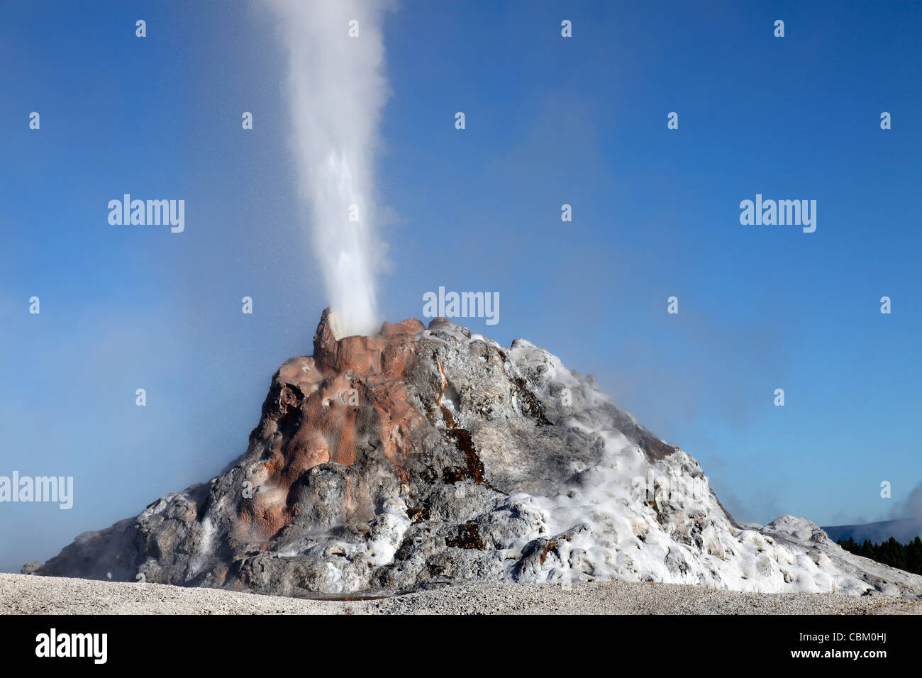 White Dome Geyser erupting, Lower Geyser Basin geothermal area ...