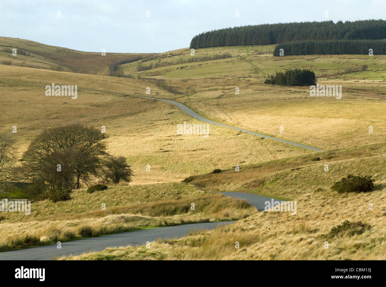 Mynydd epynt hi-res stock photography and images - Alamy