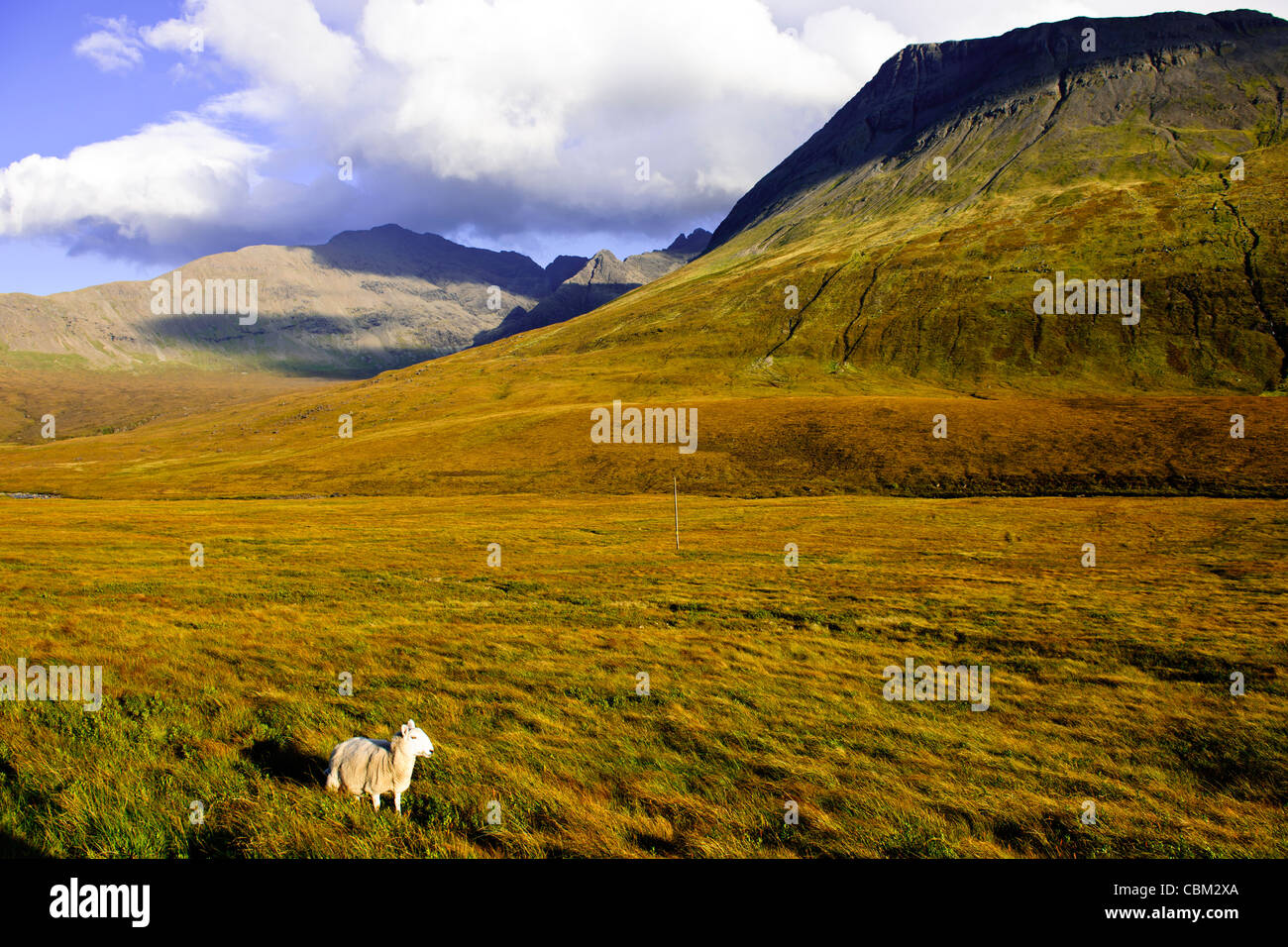 The Cuillin Hills,Black Hills, Red Cuillins,Hiking,Salmon Fishing ...