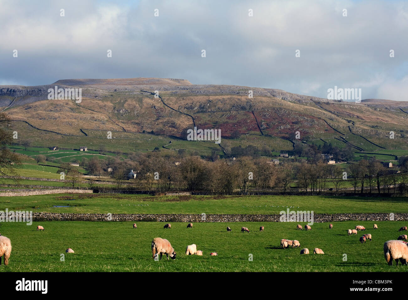 Long Scar and Crummack Dale Austwick Yorkshire Dales England Stock ...