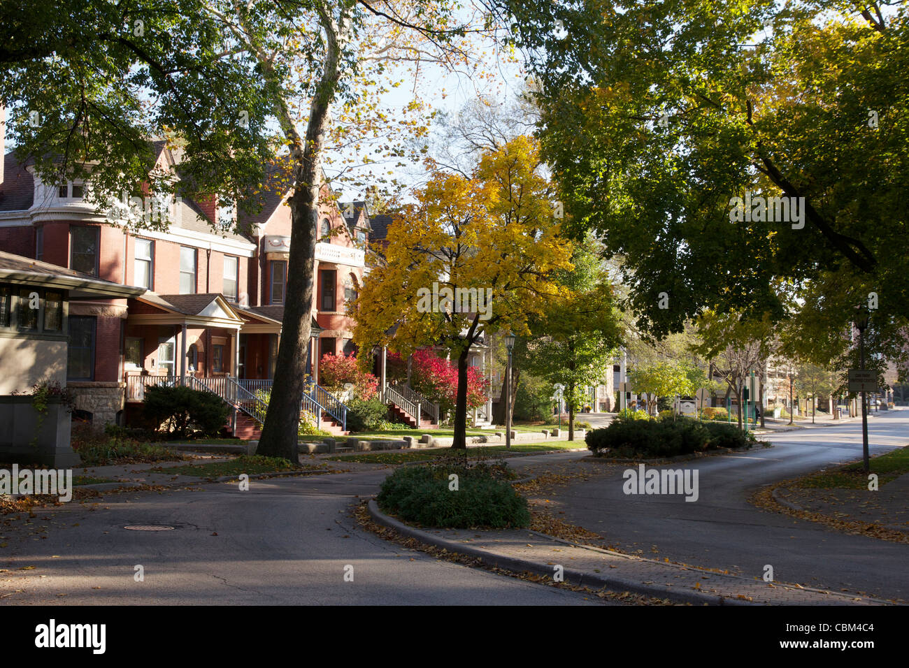 Oak Lined Street High Resolution Stock Photography and Images - Alamy