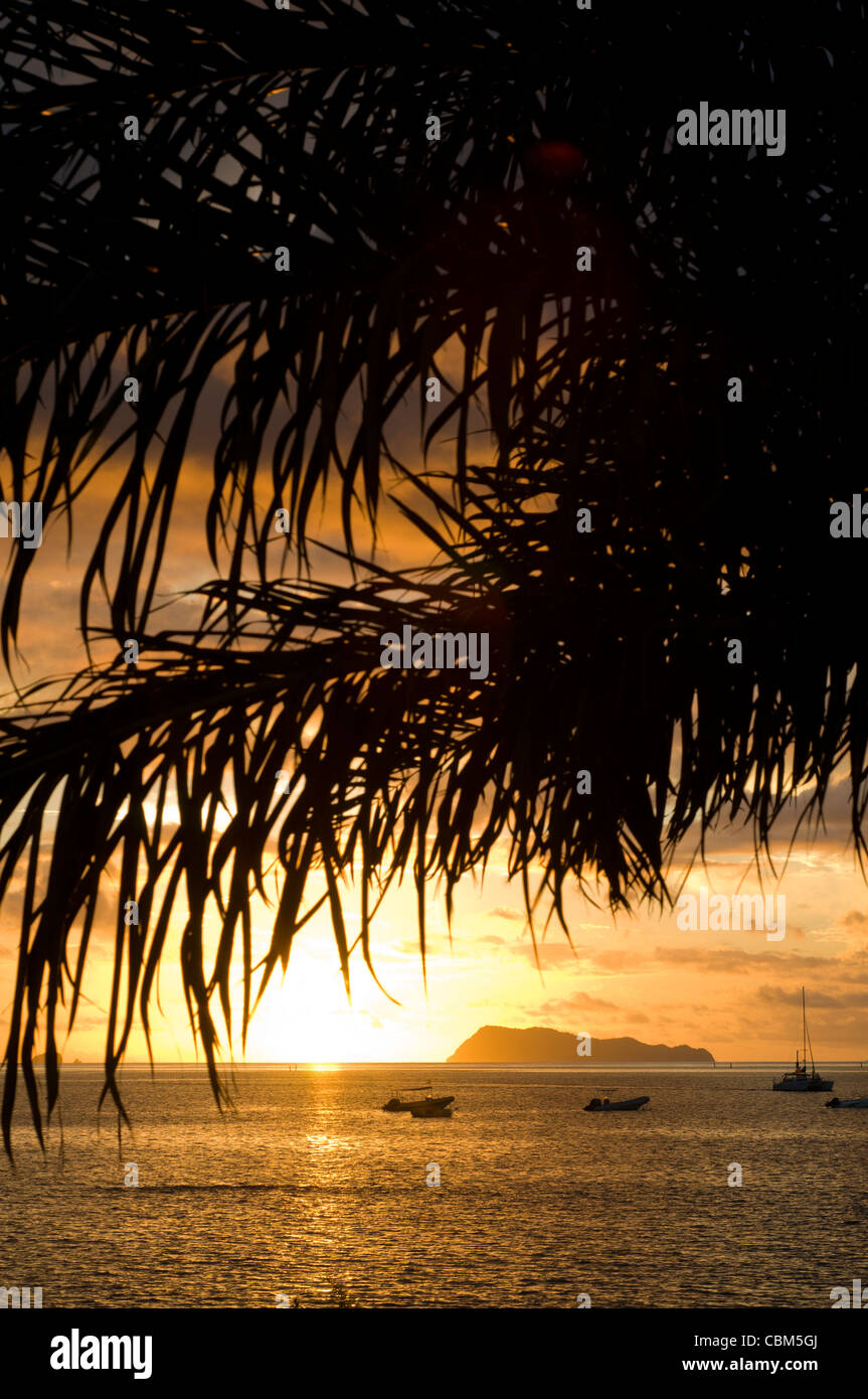golden sunset samoa Stock Photo - Alamy