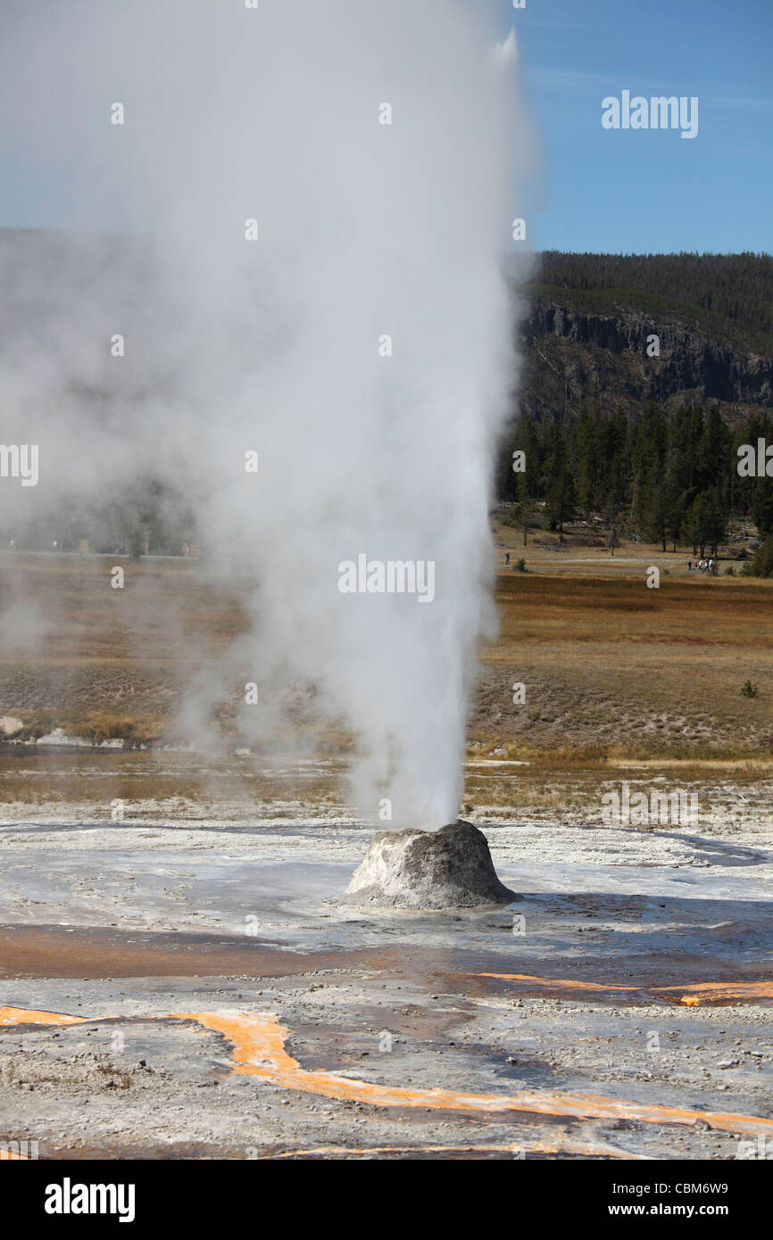 Beehive Geyser erupting, Upper Geyser Basin geothermal area ...