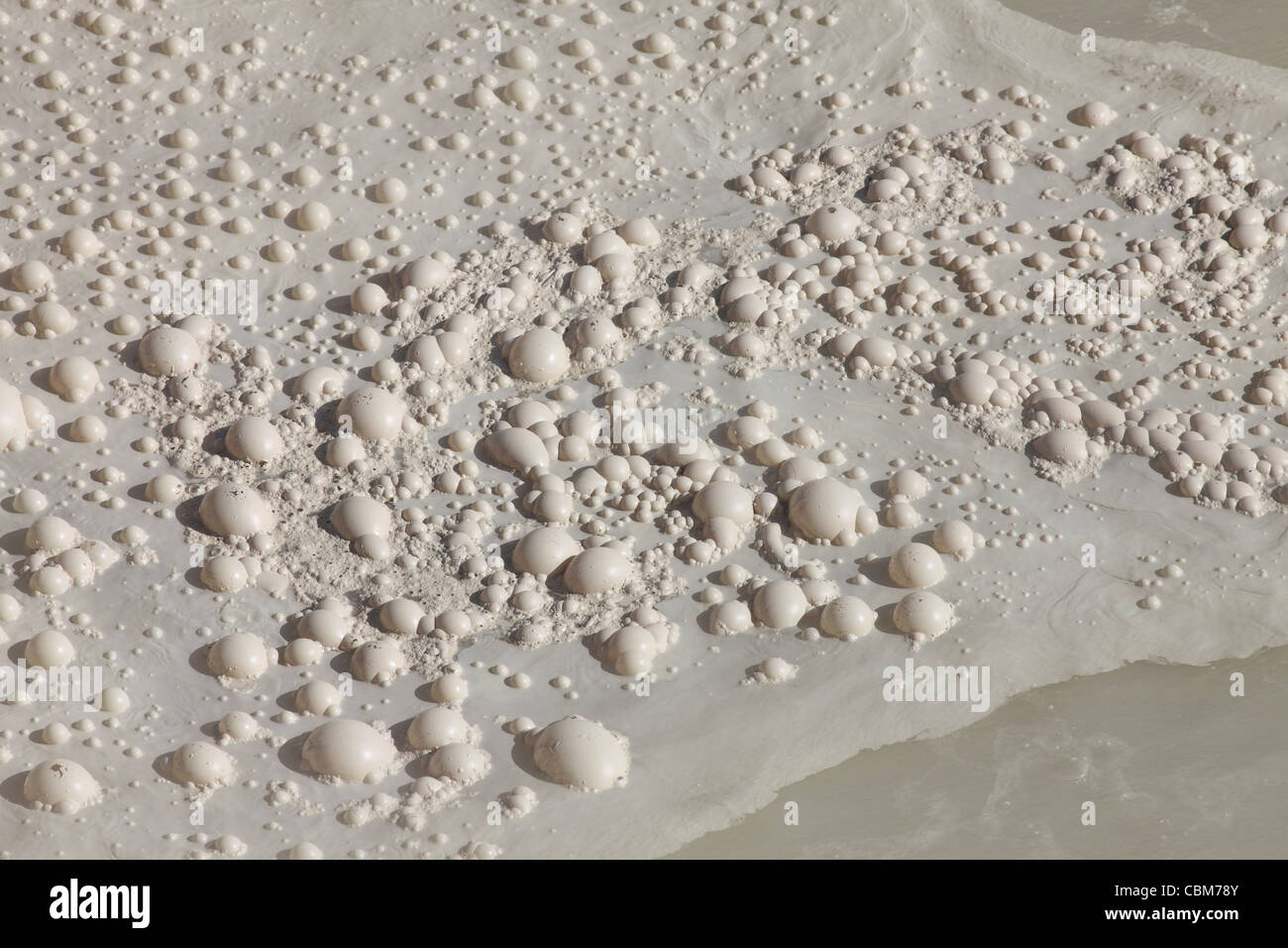 Bubbles on surface of Sulphur Cauldron hot spring, Yellowstone Caldera ...