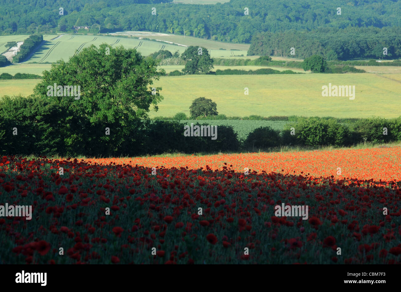 Chiltern hills hertfordshire hi-res stock photography and images - Alamy