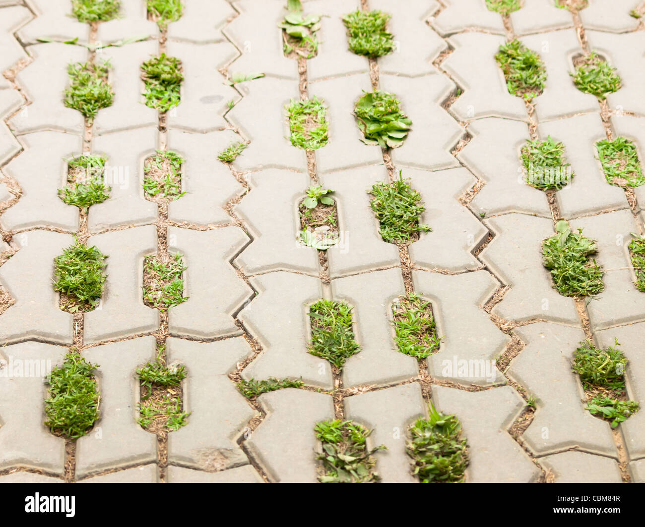 Pavers with grass Stock Photo - Alamy