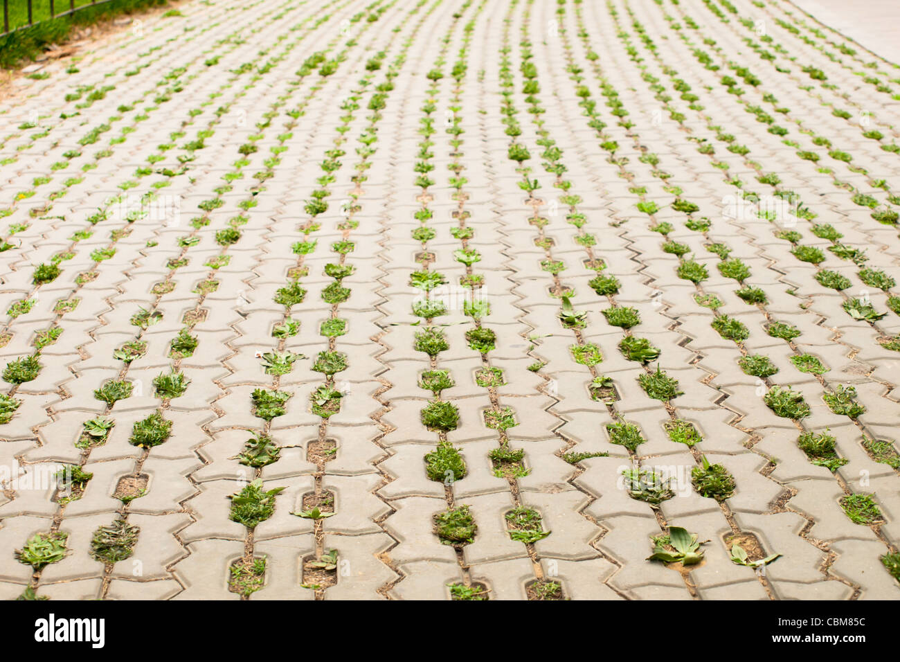 Pavers with grass Stock Photo - Alamy