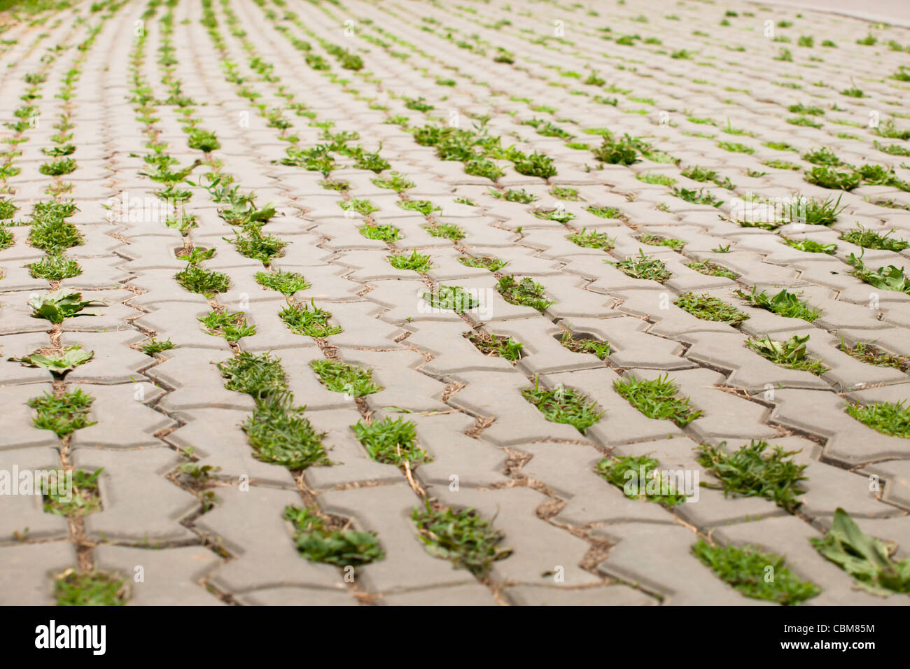 Pavers with grass Stock Photo - Alamy