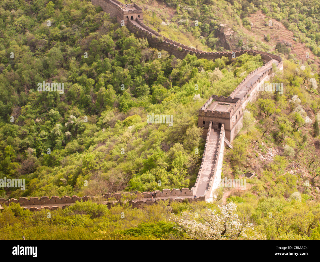 The Great Wall of China at the Mutianyu section near Beijing Stock ...