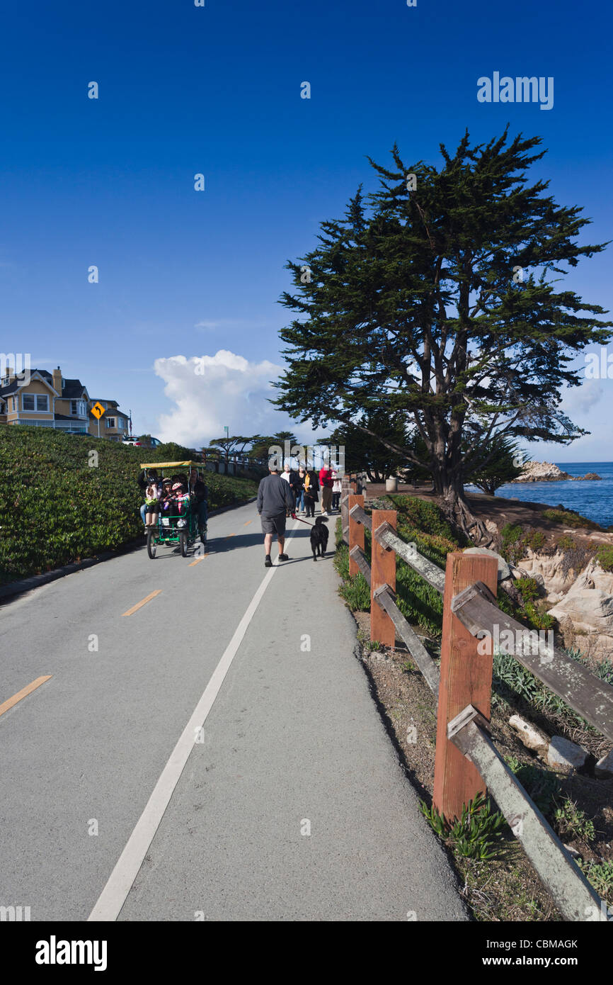 USA, California, Central Coast, Monterey, Monterey Bay Coast, Shoreline ...