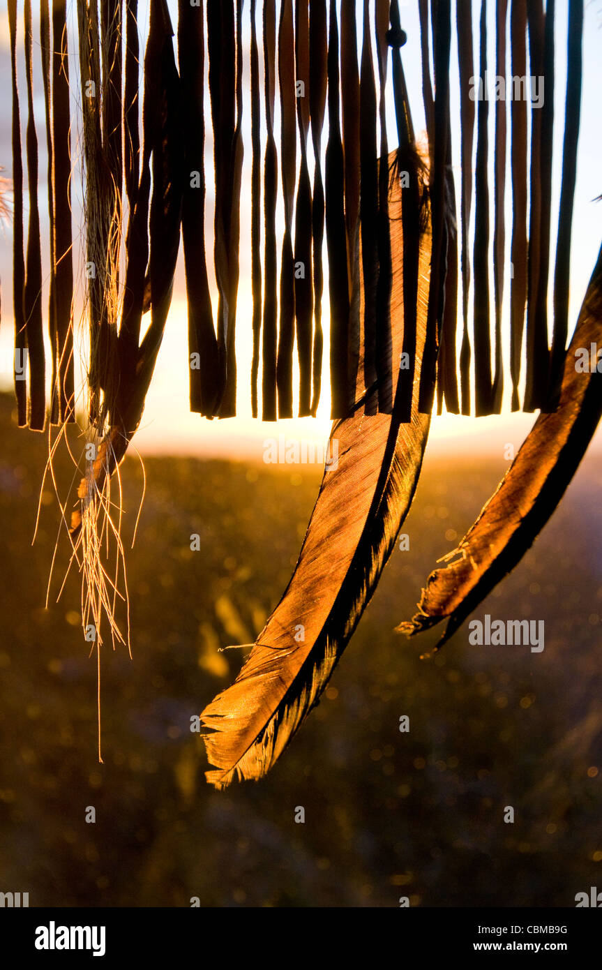 feathers beautiful colorful Indian Stock Photo - Alamy