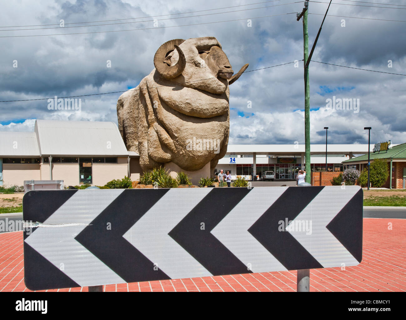 Merino ram australia hi-res stock photography and images - Alamy