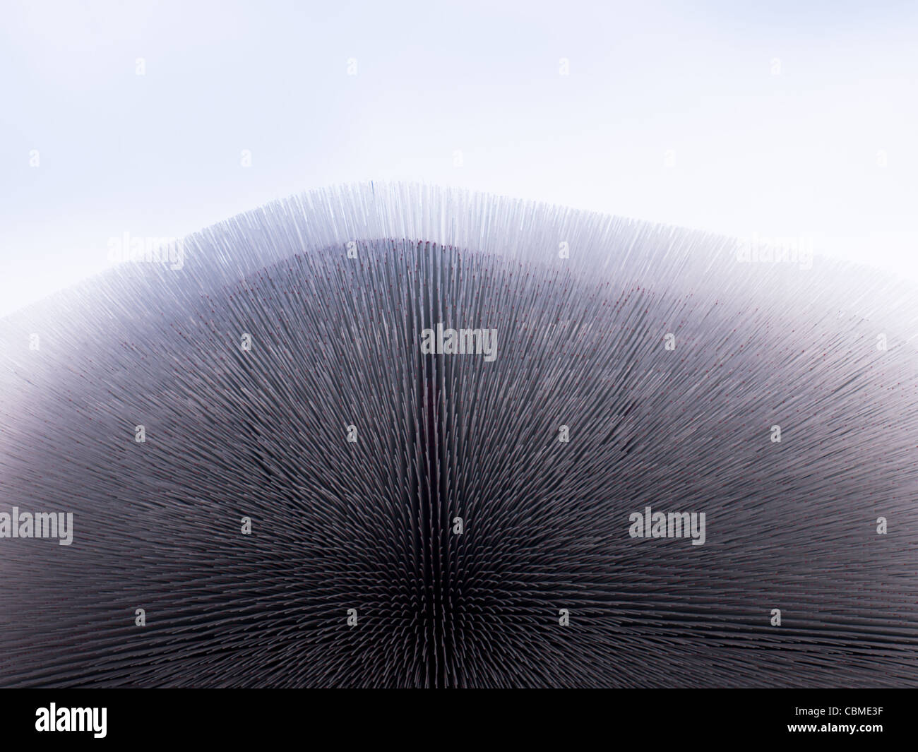 Exterior of the UK Pavilion at the EXPO 2010 Shanghai, China Stock ...