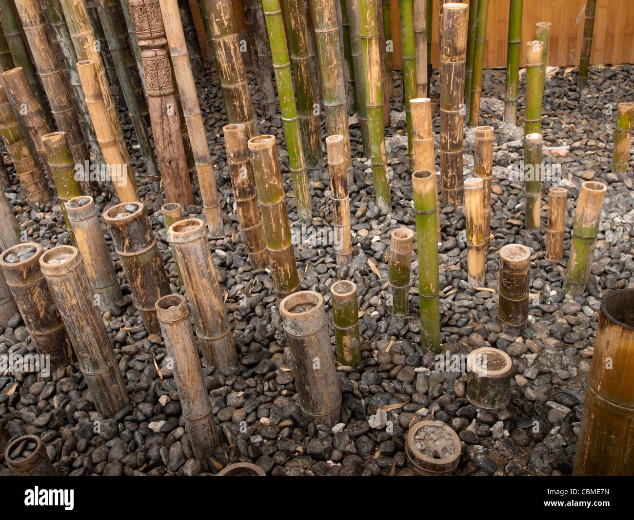 bamboo sticks in the ground Stock Photo - Alamy