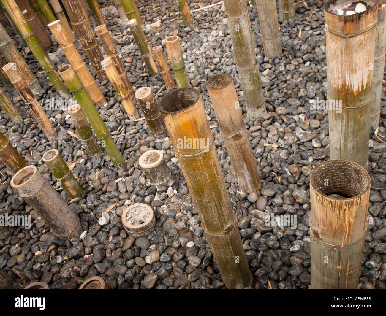 bamboo sticks in the ground Stock Photo - Alamy