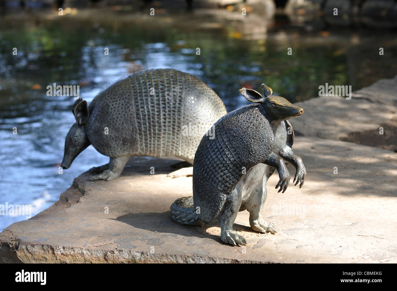 Armadillo sculpture, Dallas arboretum, Dallas, Texas, USA Stock Photo ...